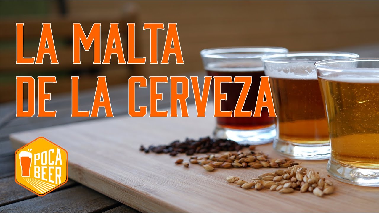Descubre todo sobre la malta de la cerveza: origen, proceso y sabor único.