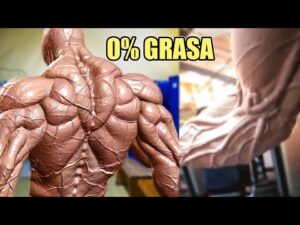 La verdad sobre un kilo de grasa y un kilo de músculo