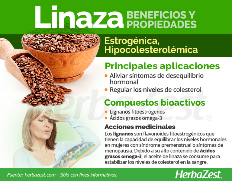Linaza: Propiedades y beneficios de este superalimento