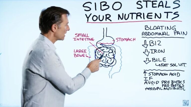 SIBO: qué es y cómo combatirlo con tratamientos efectivos
